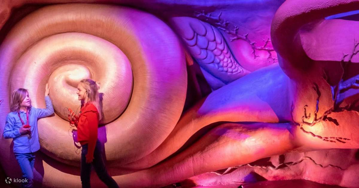 CORPUS, Hành trình khám phá cơ thể con người tại Oegstgeest - Klook Việt Nam